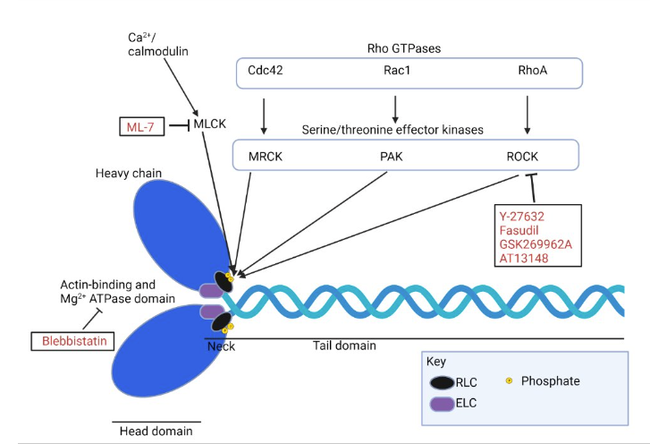 Facilities & Labs - James L. Winkle College of Pharmacy | University of ...