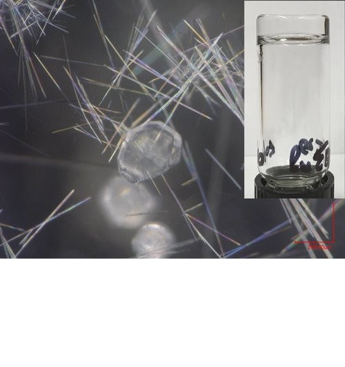 Facilities & Labs - James L. Winkle College of Pharmacy | University of ...